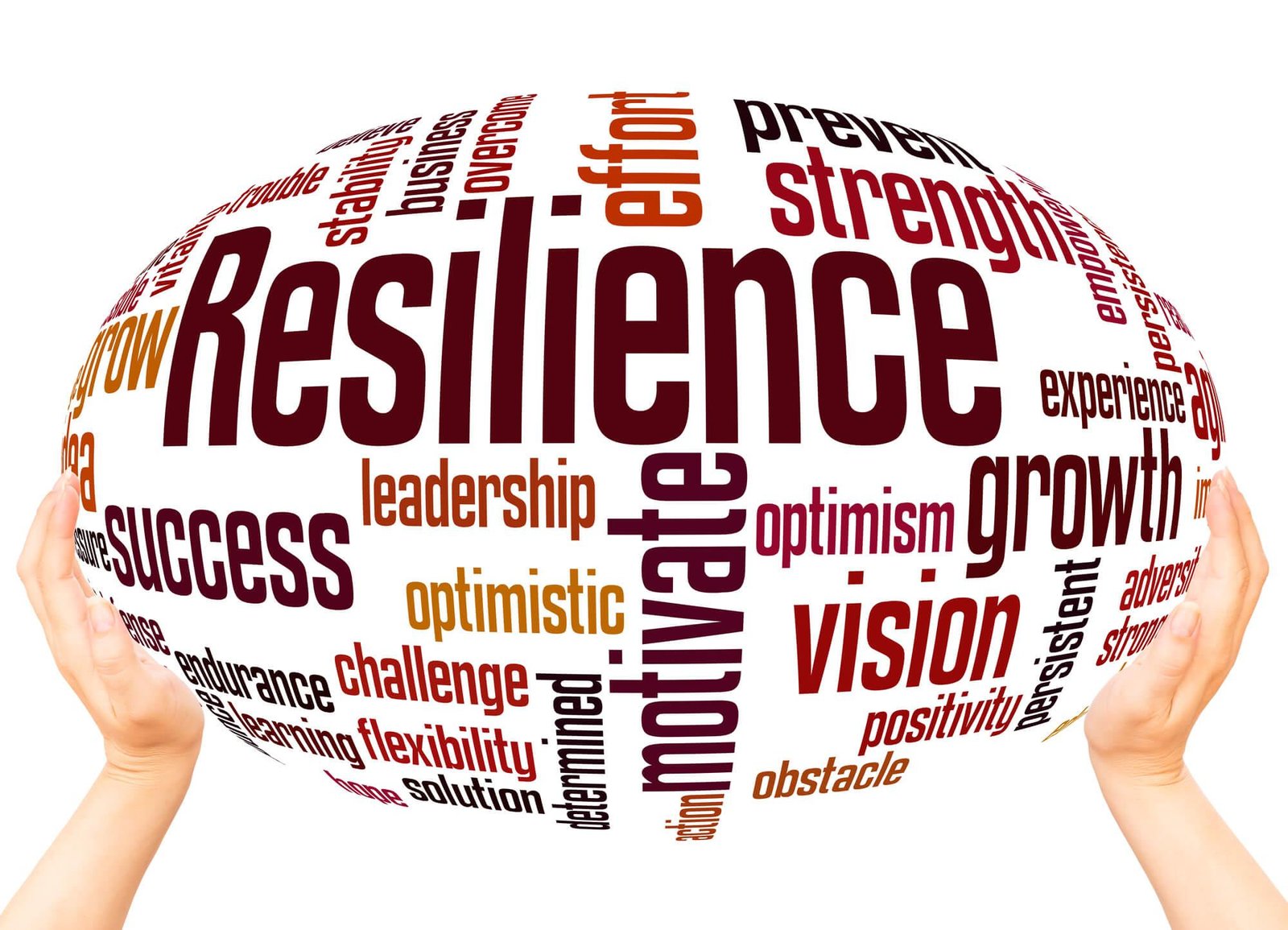 Resilient Leadership for Our World Today: Key Lessons from ...